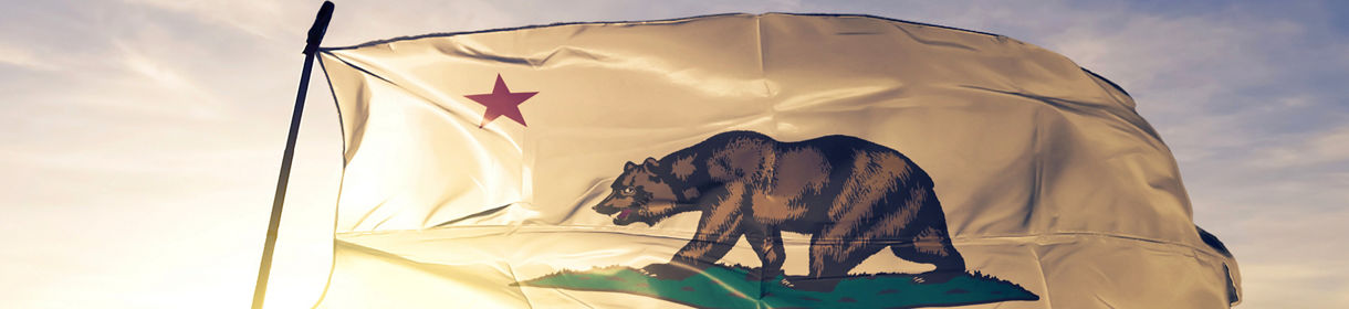 California Transparency in Supply Chain Act | Teknor Apex